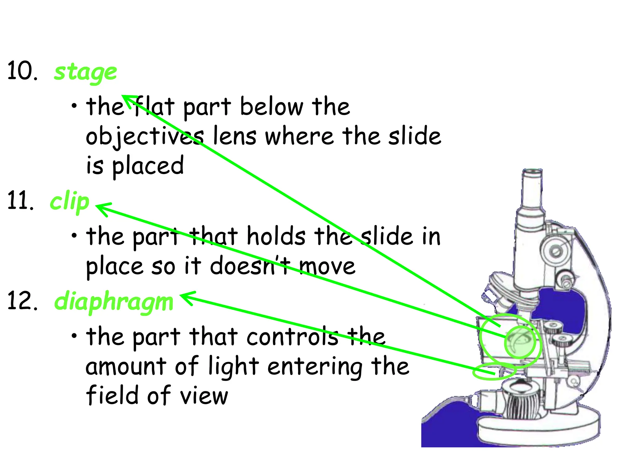 microscope basics - definition and Functions.ppt