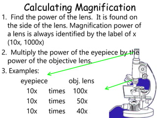 microscope basics - definition and Functions.ppt