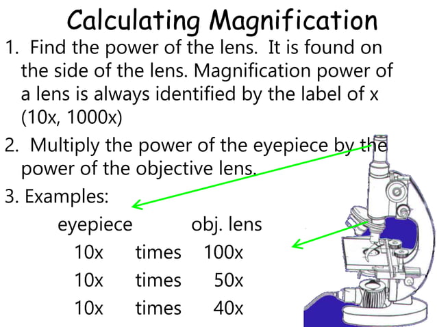 microscope basics - definition and Functions.ppt