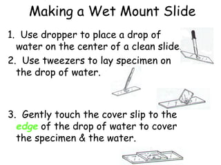 microscope basics - definition and Functions.ppt