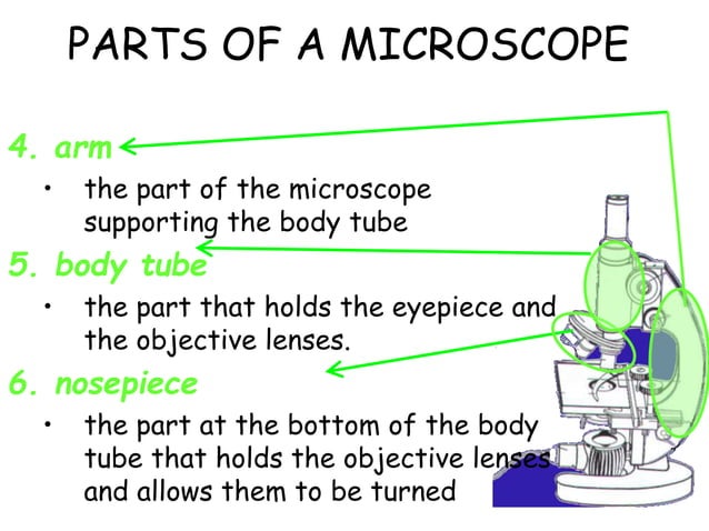 microscope basics - definition and Functions.ppt