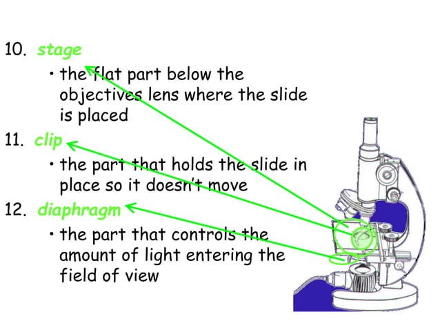 microscope basics - definition and Functions.ppt