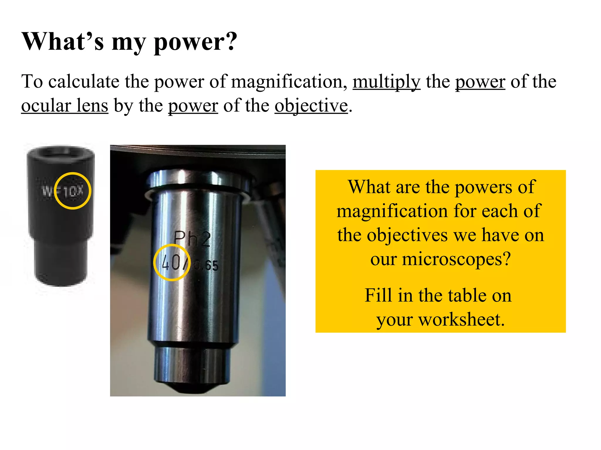 Microscope Basics Powerpoint | PPT