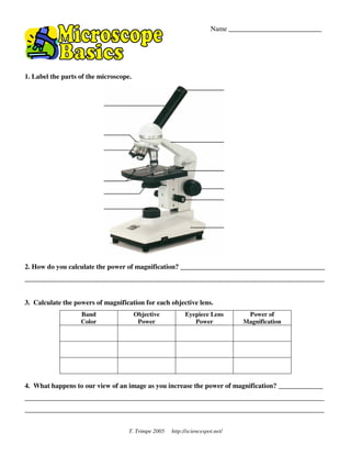 Microscope Basicswkst | PDF