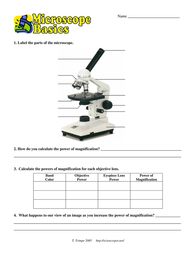 Microscope Basicswkst | PDF