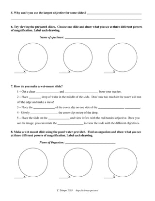Microscope Basicswkst | PDF