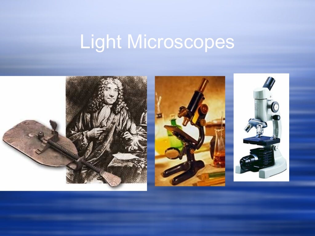 comparison of light and electron microscopes