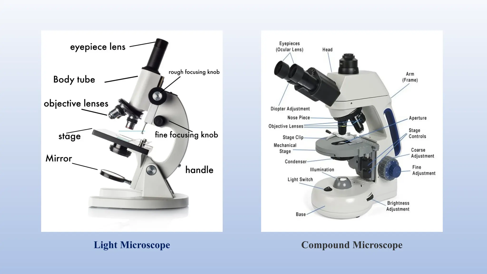 Microscope, Type of Microscope and Care and Handling of Microscope.pptx