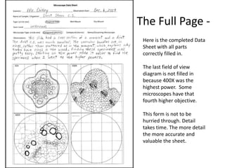 Microscope Data Sheet Example Slide Show | PPSX