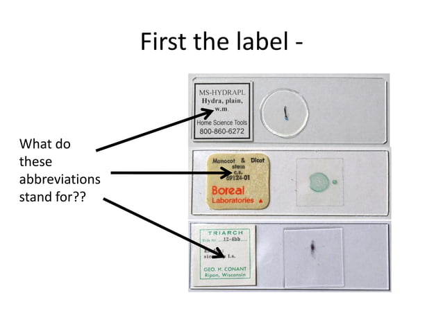 Microscope Data Sheet Example Slide Show | PPT