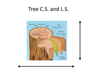 Microscope Data Sheet Example Slide Show | PPSX