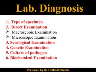 Microscope examination.pptx............... | PPTX