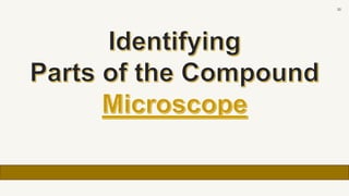 Microscope History Parts about microscopes.pptx