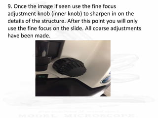 microscope introduction.pptx