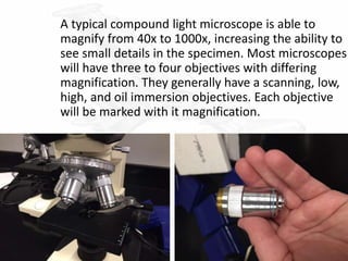 microscope introduction.pptx