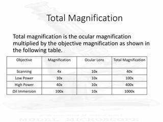 microscope introduction.pptx
