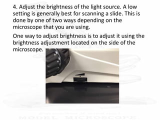 microscope introduction.pptx