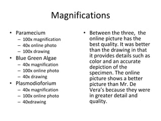 Microscope lab | PPT