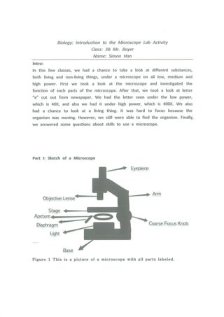 Microscope lab | PDF