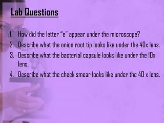 Microscope Lab ppt | PPTX