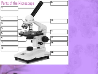 Microscope Lab ppt | PPTX