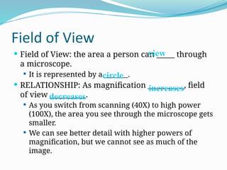 microscope lecture.pptx History and Development | PPTX