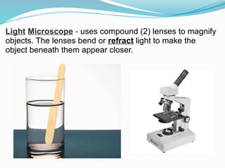 microscope lecture.pptx History and Development | PPTX