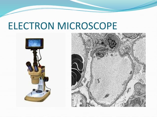 microscope lecture.pptx History and Development | PPTX