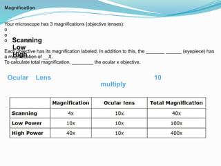 microscope lecture.pptx History and Development | PPTX