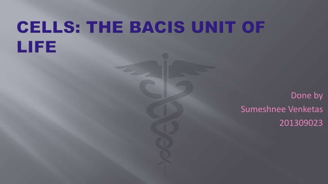 Microscope lesson 2016 | PPTX