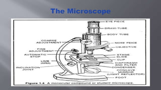 Microscope lesson 2016 | PPTX
