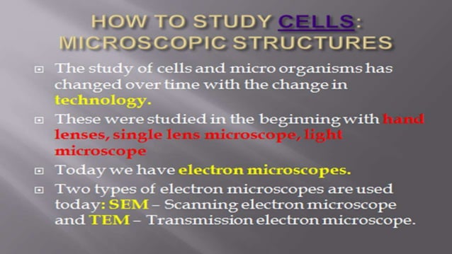 Microscope lesson 2016 | PPTX