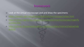 Microscope lesson 2016 | PPTX
