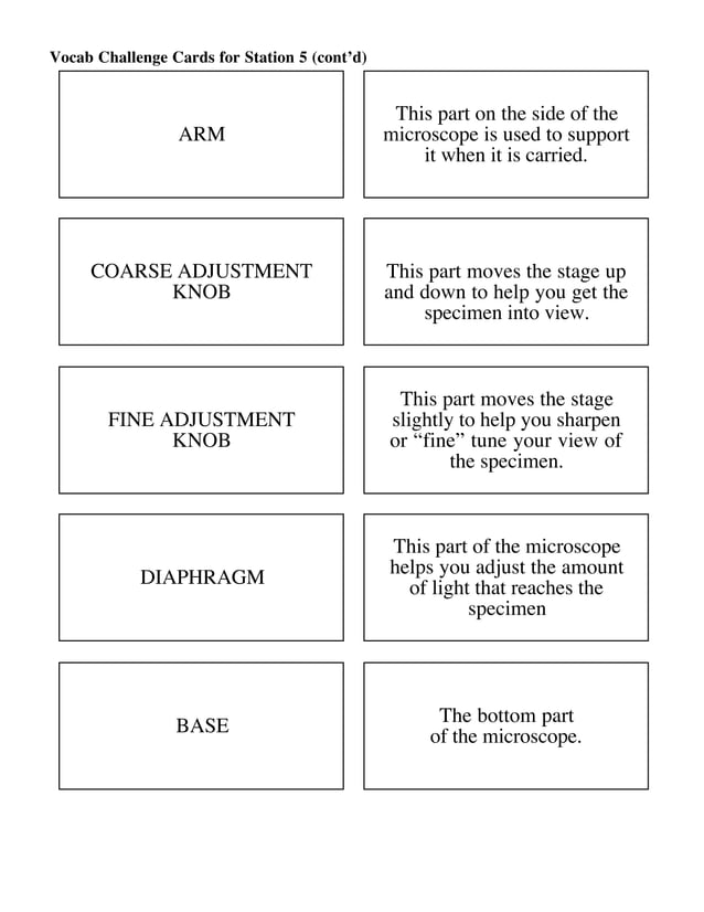 Microscope Mania Micro Review Act | PDF