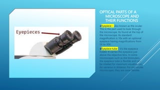 Microscope & Microscopy.pptxvjvgbngn bjjfhbxjb | PPT