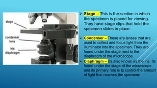 Microscope & Microscopy.pptxvjvgbngn bjjfhbxjb | PPT
