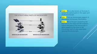 Microscope & Microscopy.pptxvjvgbngn bjjfhbxjb | PPT