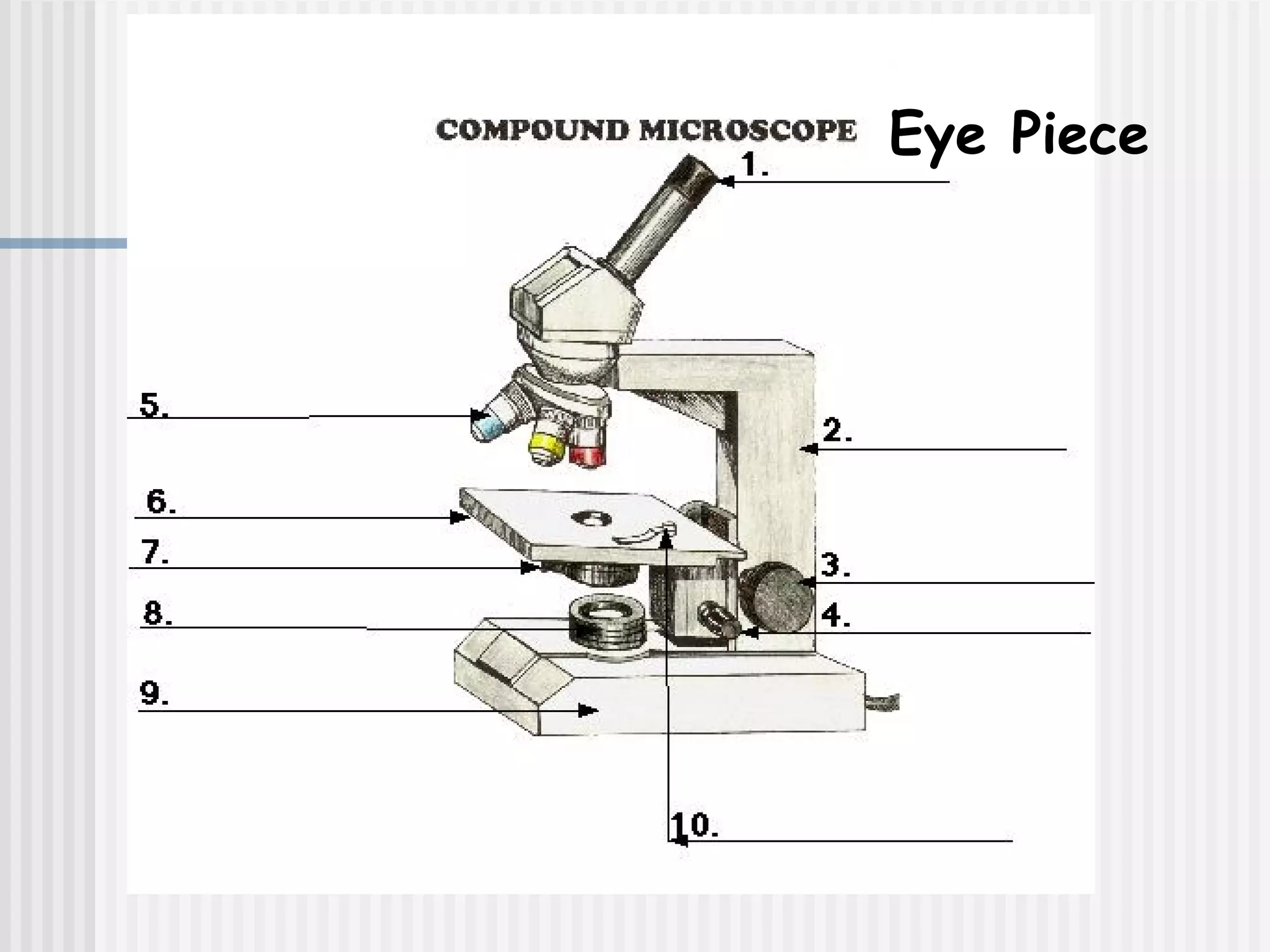 Microscope notes copy | PPT