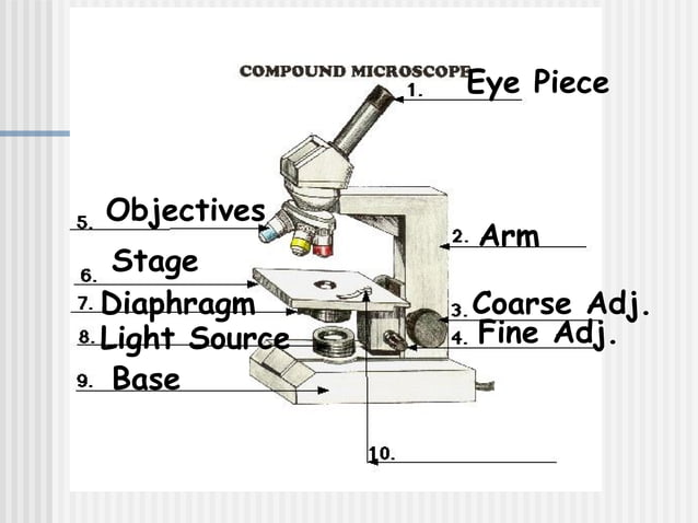 Microscope notes copy | PPT
