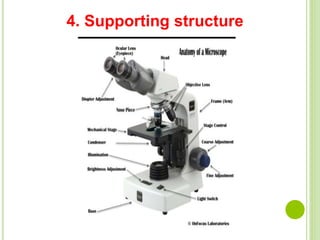 Microscope part 2 BY DR. C. P. ARYA (B.Sc. B.D.S.; M.D.S.; P.M.S.; R.N ...