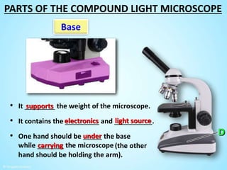 Microscope parts power point | PPTX | Photography | Arts and Crafts