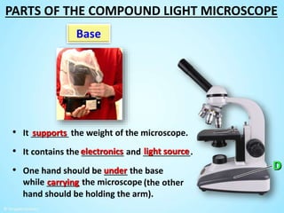 Microscope parts power point | PPT
