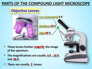 Microscope parts power point | PPTX | Photography | Arts and Crafts