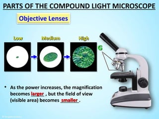Microscope parts power point | PPT