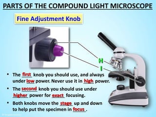 Microscope parts power point | PPTX | Photography | Arts and Crafts