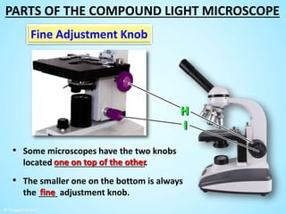 Microscope parts power point | PPTX | Photography | Arts and Crafts
