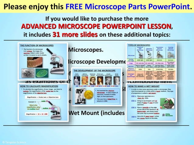 Microscope parts power point | PPTX | Photography | Arts and Crafts