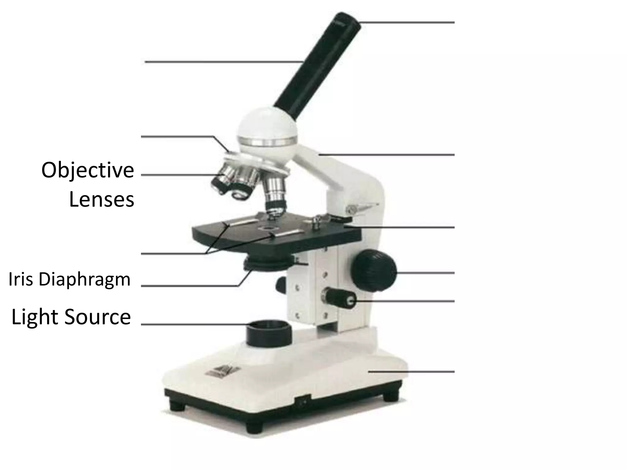Microscope parts and functions | PPTX