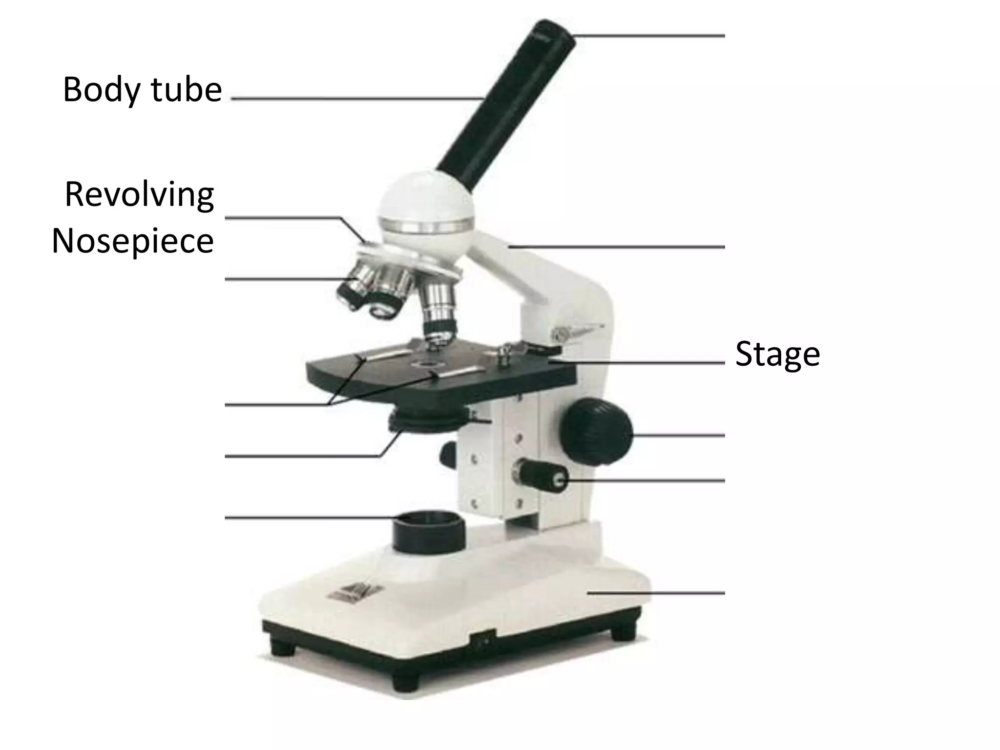 Microscope parts and functions | PPTX