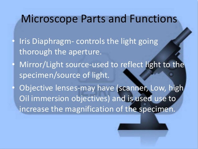 Microscope parts and functions